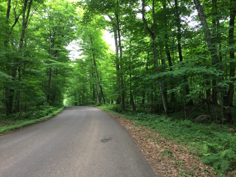 “Up North”, Wisconsin | My Favorite Things